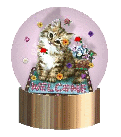 Állatok-Cicák animált gif képek - Képeslapok - e-kepeslap.com